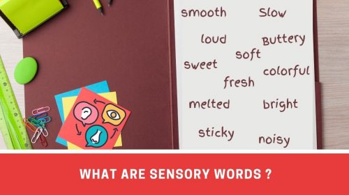 Sensory Words: Everything You Need To Know - Number Dyslexia