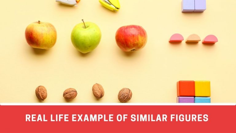 11 Real-life Examples Of Similar Figures - Number Dyslexia