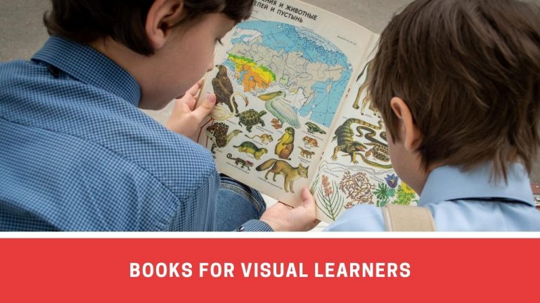 10 Books That Visual Learners Will Love - Number Dyslexia