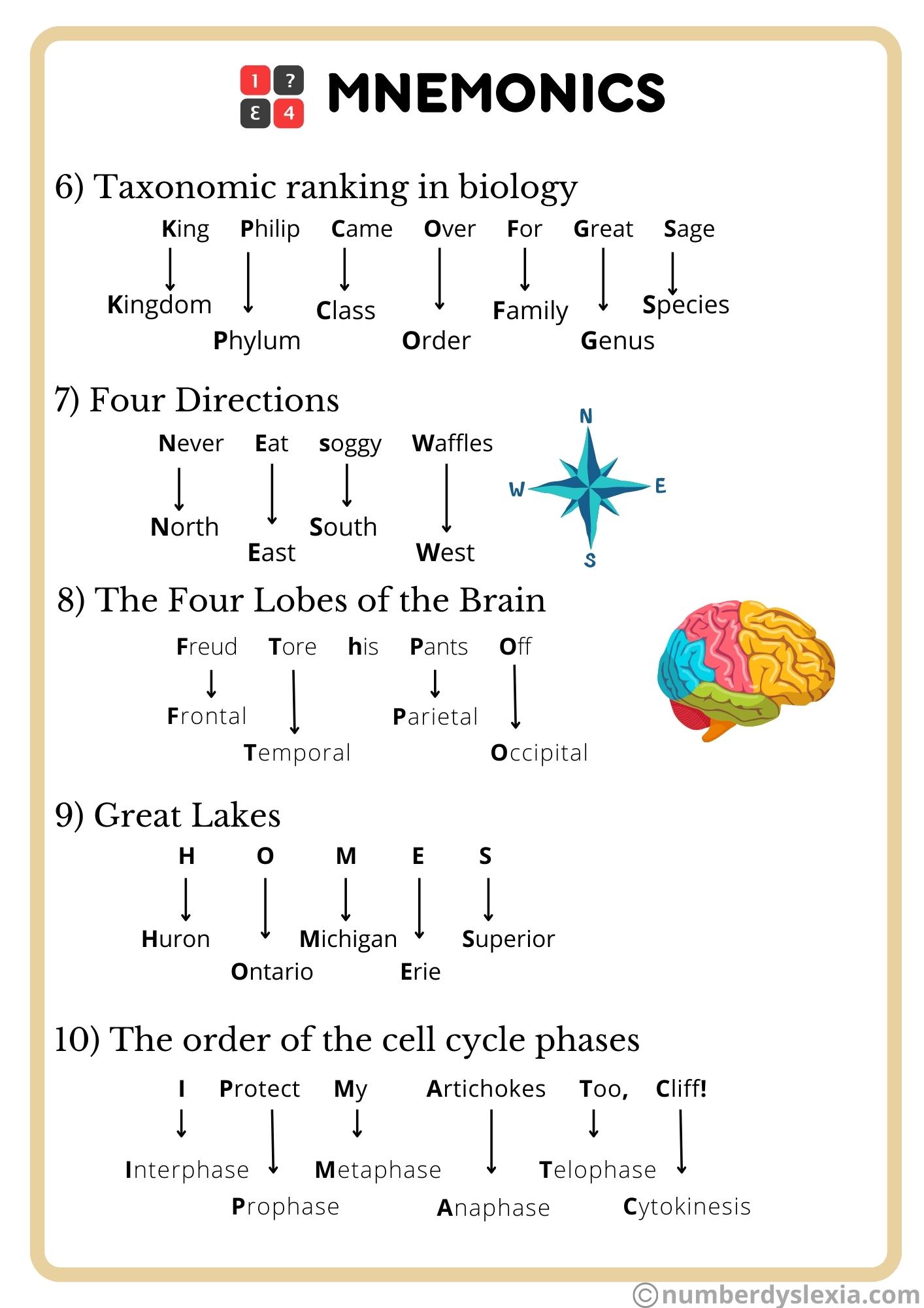 What Are Mnemonics Issuu Vrogue co
