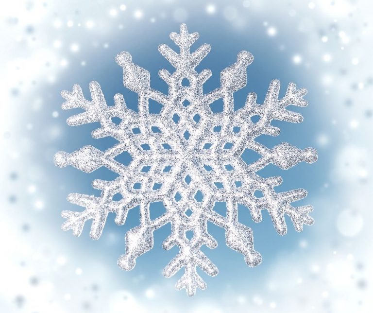 12 Real-Life Examples Of Rotational Symmetry To Understand It Better ...