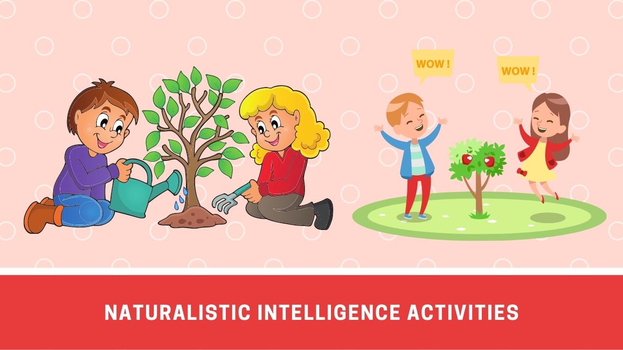 10 Fun Activities For Improving Naturalistic Intelligence In Kids 10 Fun Activities For Improving Naturalistic Intelligence In Kids