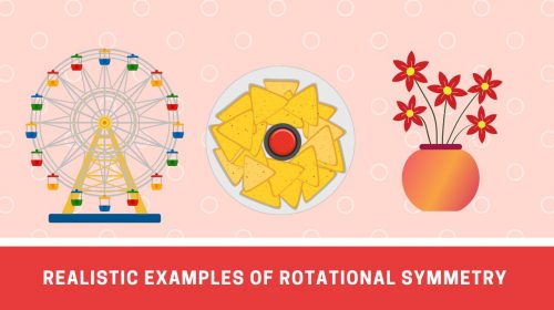 12 Real-Life Examples Of Rotational Symmetry To Understand It Better ...