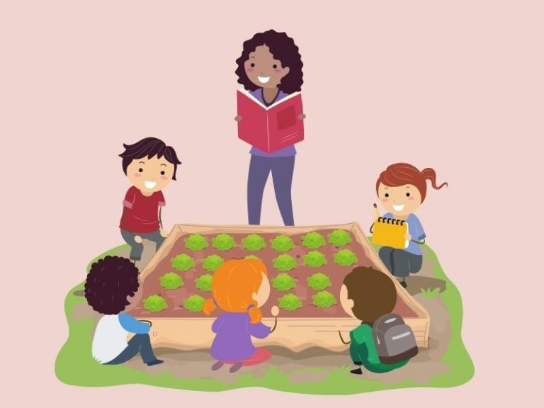 10 Real Life Applications Of Quadratic Equations - Number Dyslexia