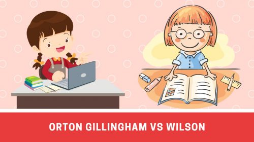 Orton Gillingham vs Wilson Reading Approach: What's the difference ...