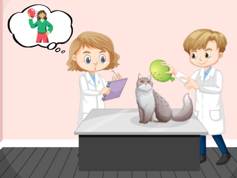 10 Fun Physics Games & Activities For High School Students - Number ...