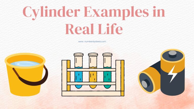 10 Examples Of Cylinder in Real Life - Number Dyslexia