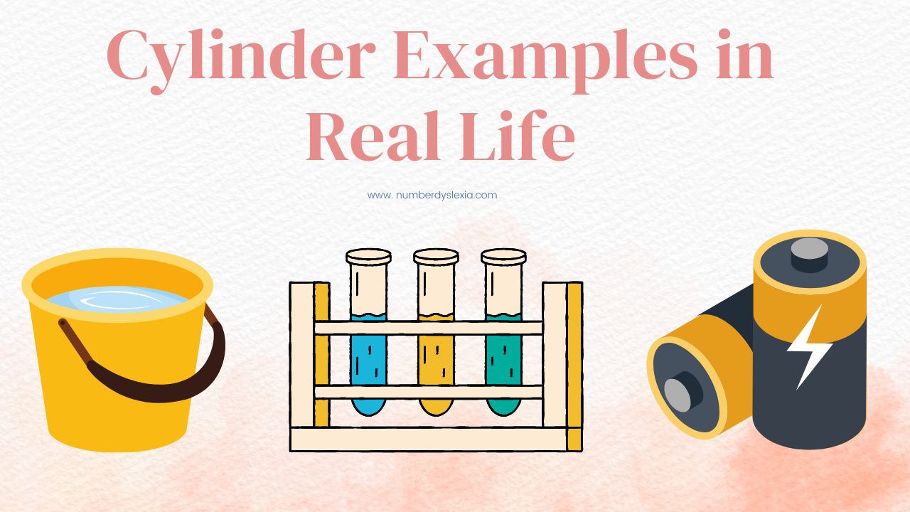 10 Examples Of Cylinder In Real Life Number Dyslexia