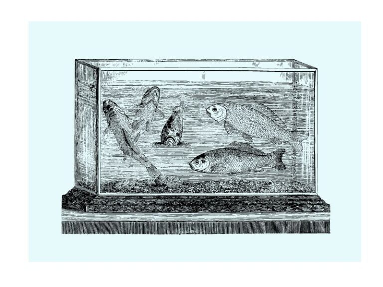 10 Examples Of Cuboid Around Us - Number Dyslexia