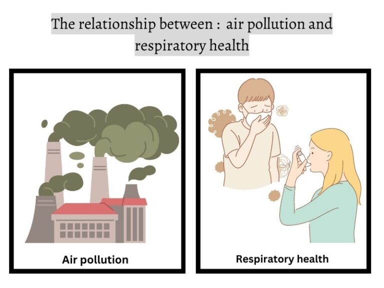 Common Examples Of Positive, Negative, And Zero Correlation In Real ...