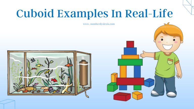 10 Examples Of Cuboid Around Us - Number Dyslexia