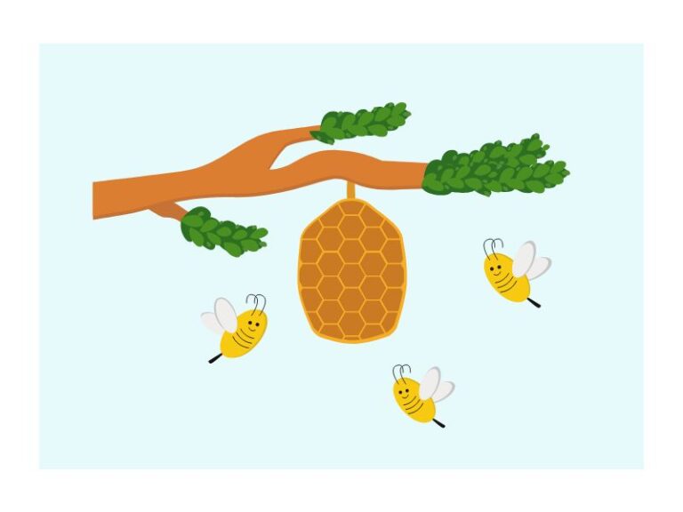 12 Real-Life Examples Of the Fibonacci Sequence To Understand It Better ...