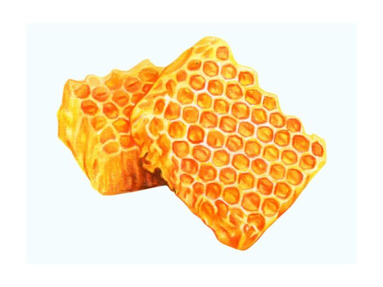 10 Real-Life Examples of Hexagon - Number Dyslexia