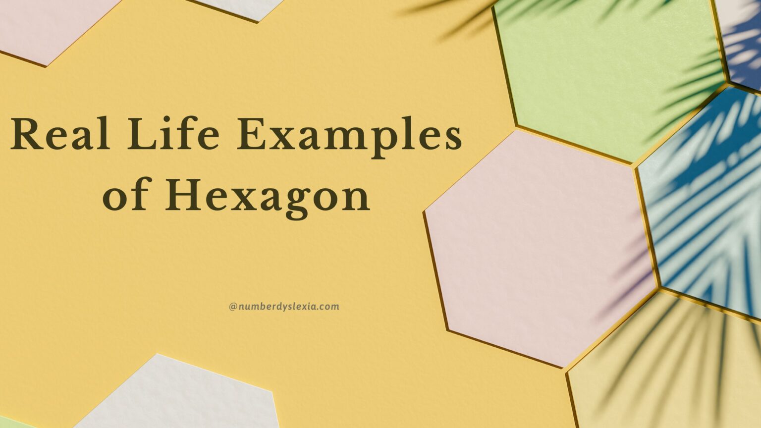 10 Real-Life Examples of Hexagon - Number Dyslexia