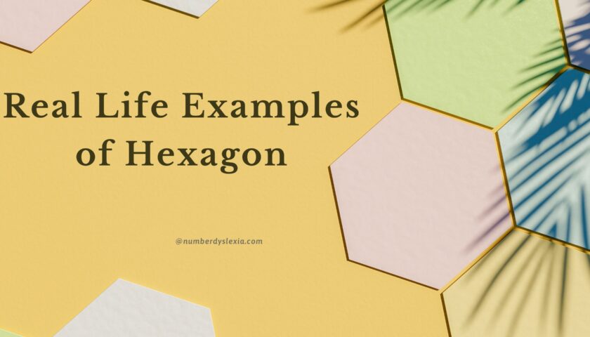 10 Real-Life Examples of Hexagon - Number Dyslexia