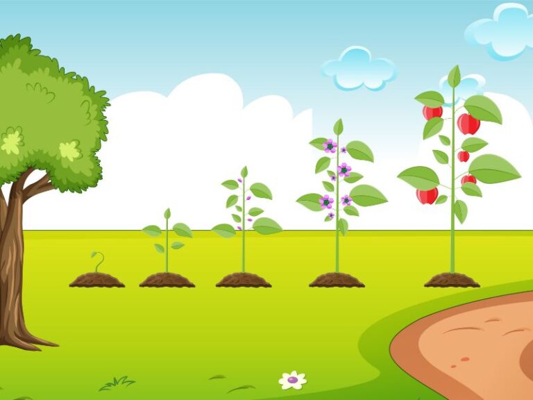 10 Examples Of 'Rate Of Change' In Real-Life Situations - Number Dyslexia